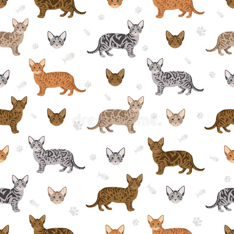Genetta Cat Seamless Pattern. All Cat Breeds Characteristics ...