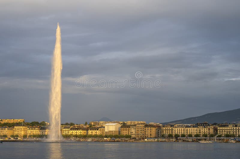 Evening Sunset Hdri Panorama 360 View among Farming Corn Fields with ...