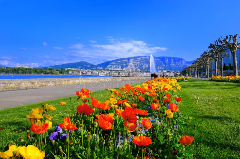 Geneva Spring stock photo. Image of grass, mountains - 10636034