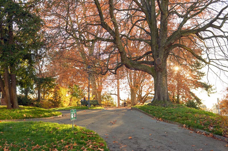 Geneva stock image. Image of fall, autumn, urban, trees - 95360877