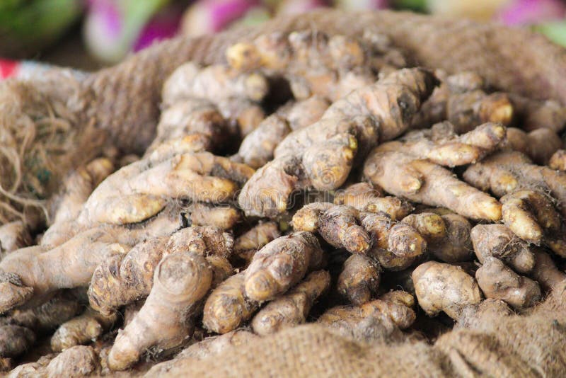 Genger stock image. Image of snack, meal, breakfast - 259690319