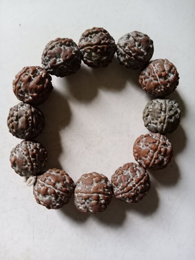 Genitri Stock Photos - Free & Royalty-Free Stock Photos from Dreamstime