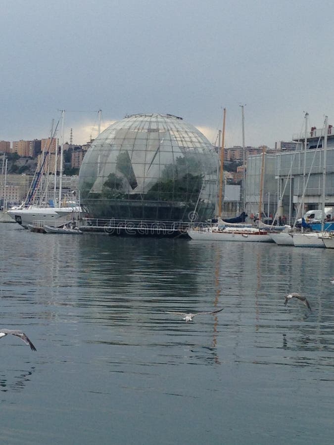 Aquarium of Genoa editorial photo. Image of visitor, diving - 74823156