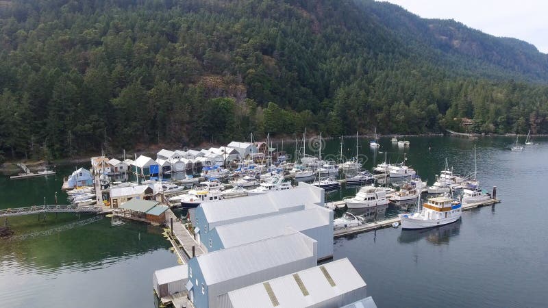 Genoa Bay Aerial View in Vancouver Island Stock Image - Image of ...
