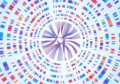 Dna Barcoding Stock Illustrations – 285 Dna Barcoding Stock ...
