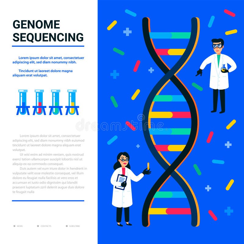 Scientists. DNA Structure, Genome Sequencing. Stock Vector ... Scientists. DNA Structure, Genome Sequencing. Stock Vector ...
