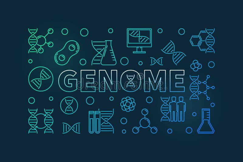 Genome Dna Vector Illustration. DNA Structure EPS 10 Stock Vector ...