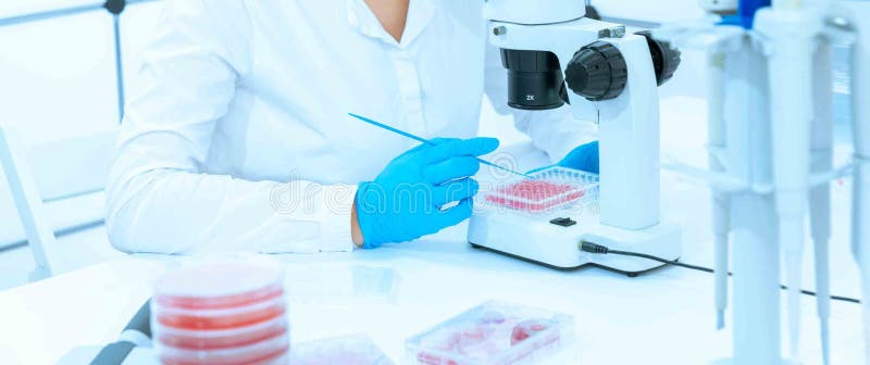 Genomics Research: Microscopes are Used To Study the Structure and Org ...