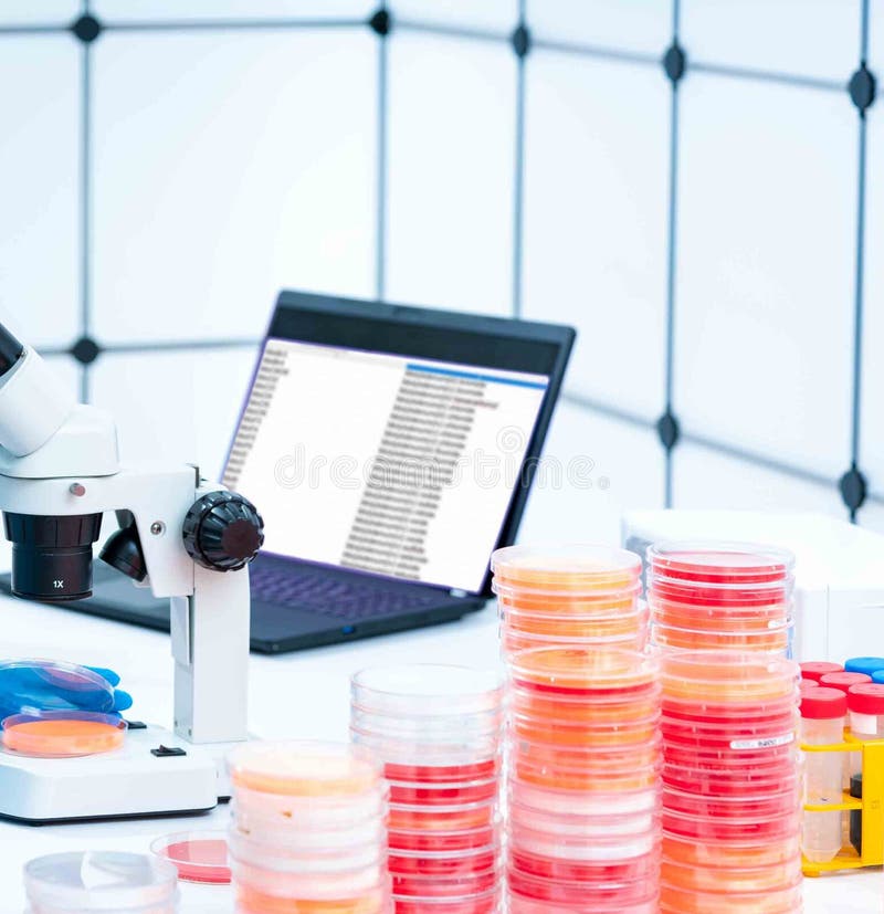 Genotyping: Petri Dishes Can Be Used for Genotyping Studies, Which Inv ...