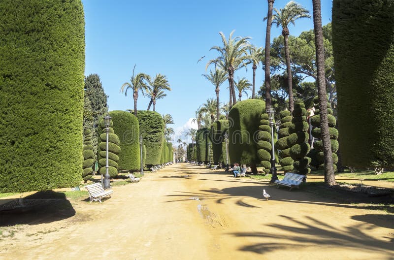 Genoves Park Cadiz Andalusia Spain Stock Photo - Image of cityscape ...