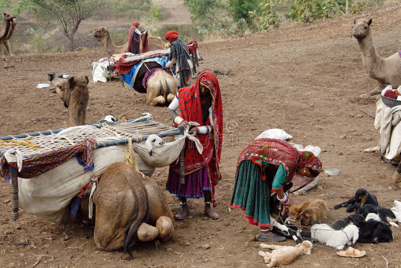 Gente Del Nómada En La India Foto de archivo editorial - Imagen de ...