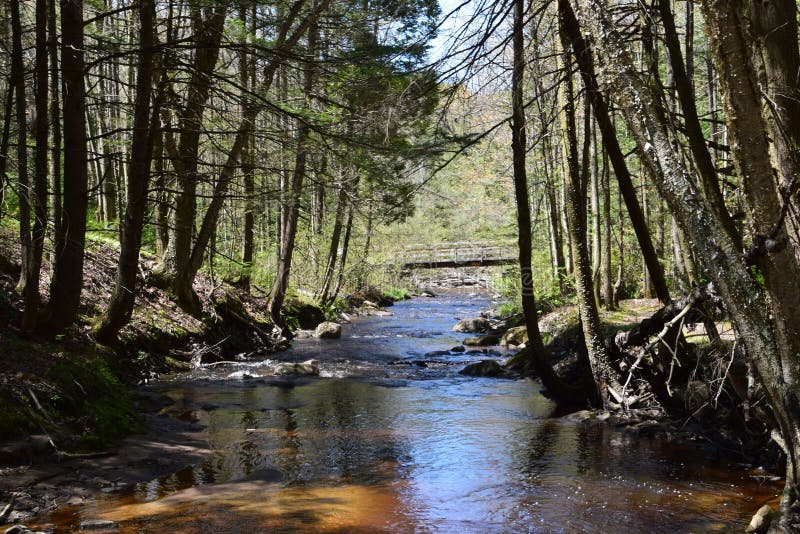 Gentilly River Regional Park in Quebec Stock Image - Image of creek ...
