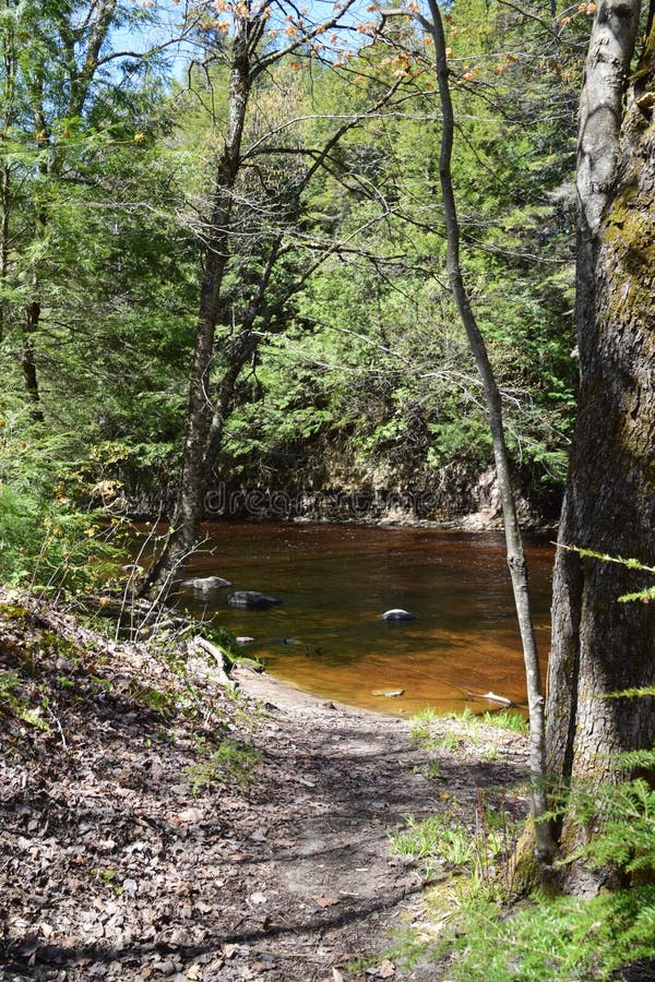 Gentilly River Regional Park in Quebec Stock Photo - Image of river ...