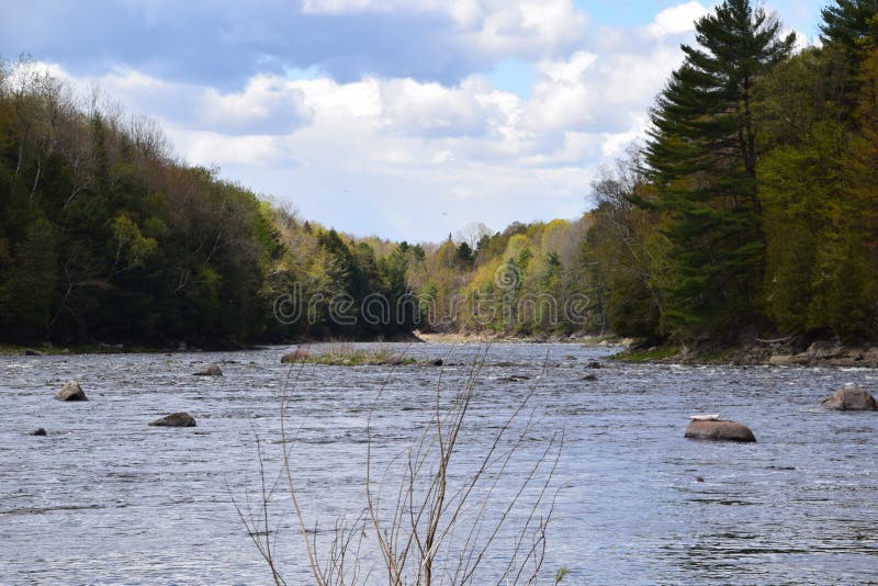 Gentilly River Regional Park in Quebec Stock Photo - Image of park ...