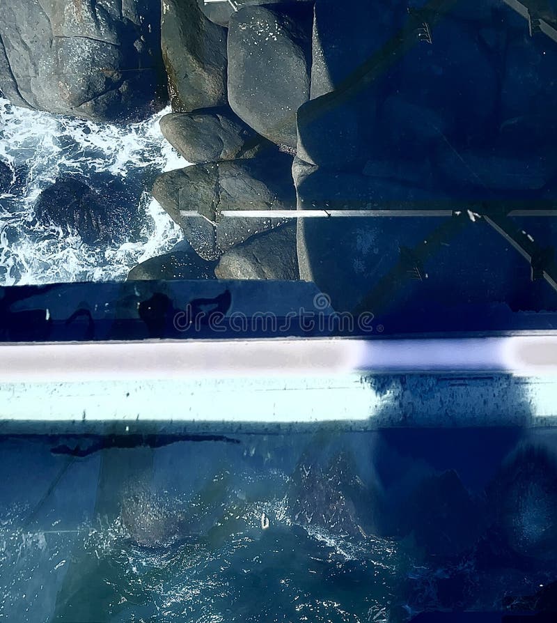 Gentle Coastal View with Subtle Lights Stock Photo - Image of shoreline ...