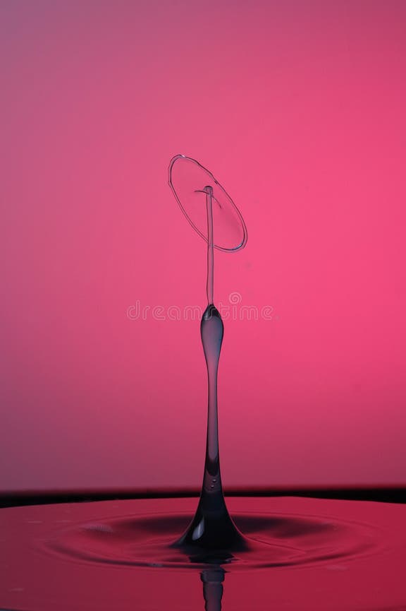 Pink dancer on water stock image. Image of font, light - 351963065