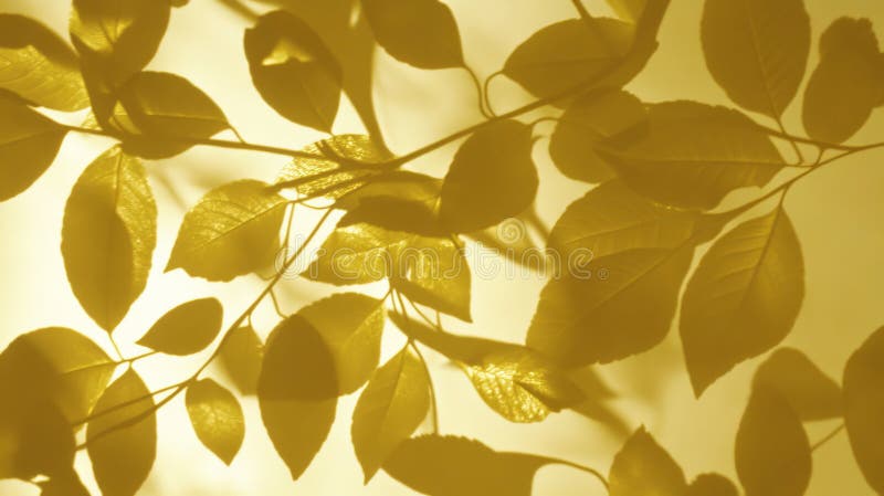 A Gentle Design Aesthetic Can Be Achieved with a Warm Neutral Toned ...