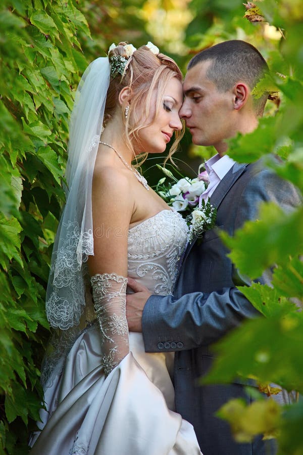 Newly married pair stock photo. Image of feeling, sensual - 827364