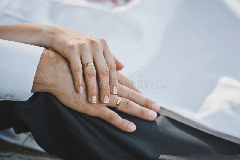 Gentle embraces 1623. stock photo. Image of white, hungry - 53607006
