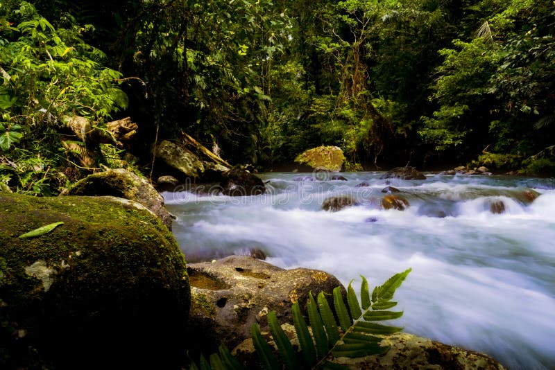 The Gentle Flow of the River, between the Leaves and the Beautiful Rock ...