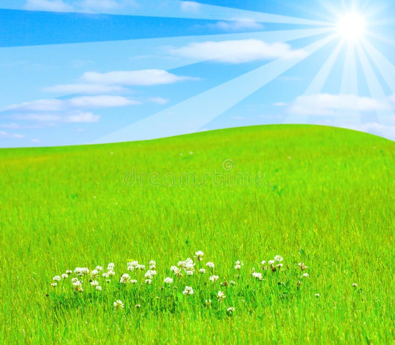 Stylized hill stock illustration. Illustration of california - 1385341