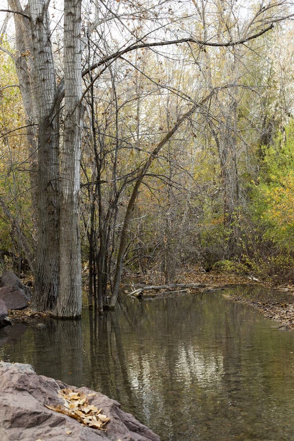 Gentle River in the Fall stock image. Image of gentle - 136033453