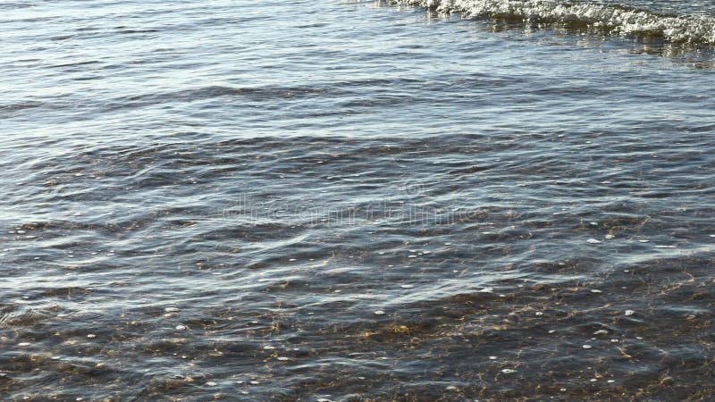 Gentle Ocean Waves Roll Towards The Shore Under A Clear Sky Stock