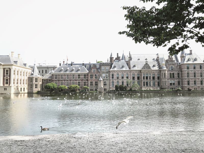 A portrait of the Hague. stock image. Image of snapshot - 250005803