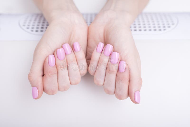 Gentle Pink Manicure. Female Hands in Manicure Salon Stock Image ...