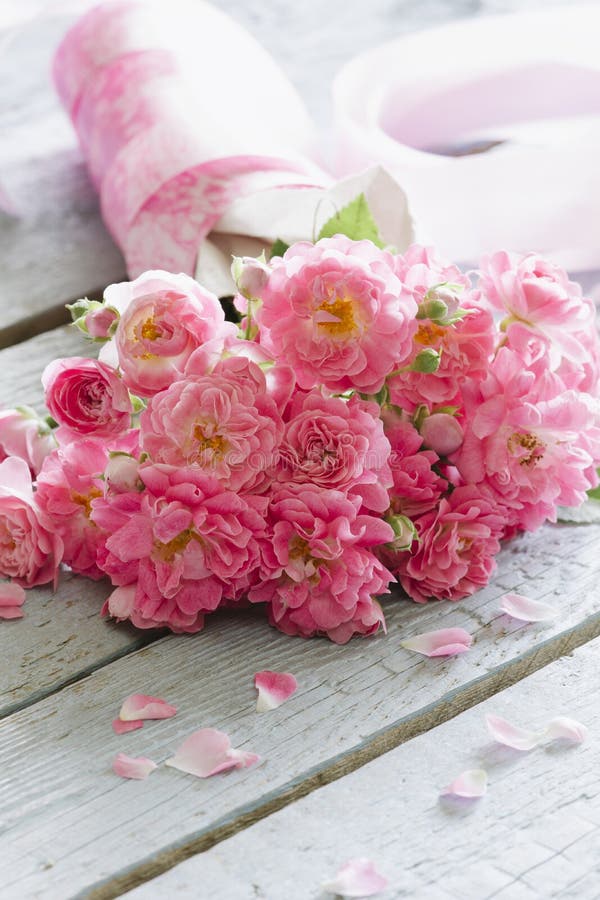 Gentle Pink Roses on Wooden Table. Stock Photo - Image of shallow ...