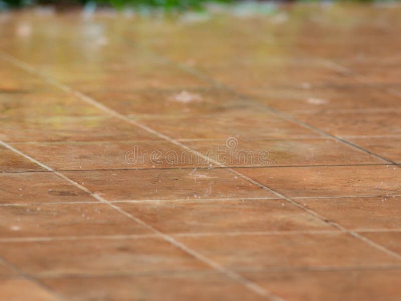 Gentle Rain Falls on the Brown Tile Floor Stock Photo - Image of ...