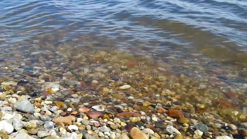 Gentle Ripple of Water on Beach with Pebbles and Shells Stock Video ...