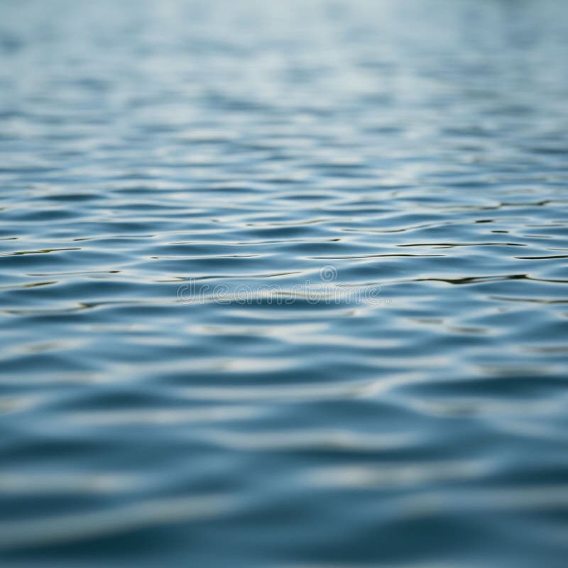 Gentle Ripples on the Surface of a Body of Water Create a Serene Visual ...