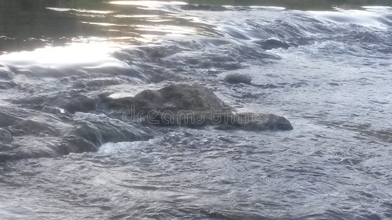 Gentle river run stock photo. Image of river, peaceful - 132157142