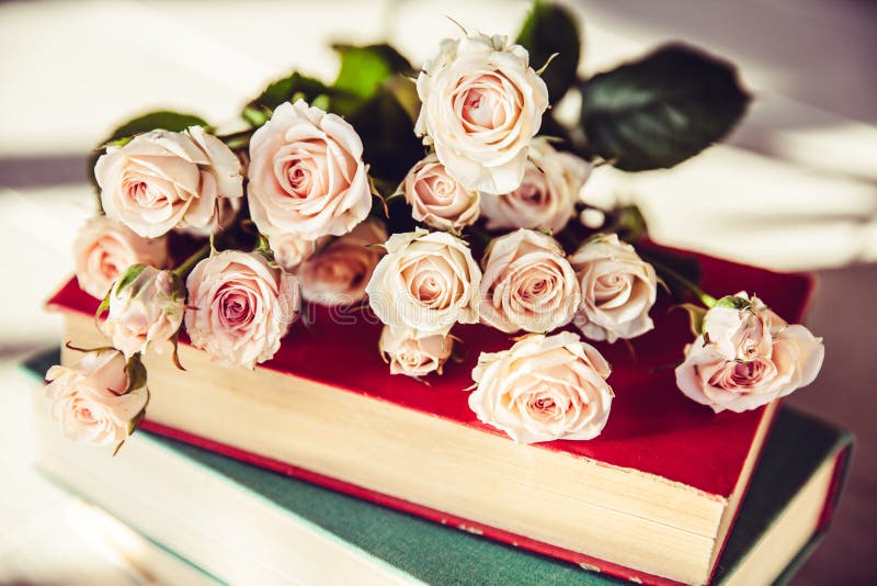 Gentle Roses with Old Books on a Wooden Background Stock Photo - Image ...