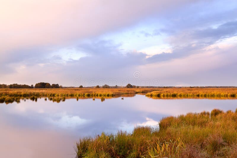 Gentle Soft Sunrise Over Swamp Stock Photo - Image of countryside ...