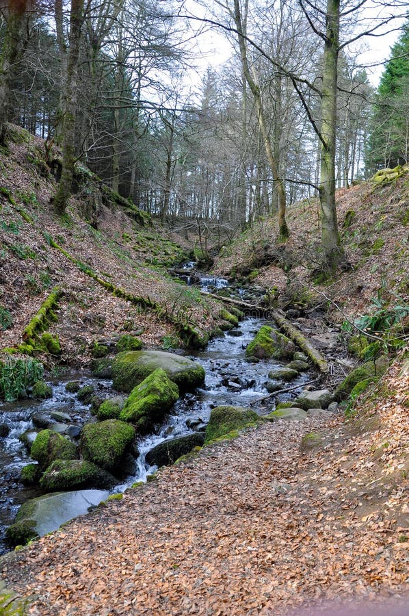 Gentle Stream Running through a Field in Winter Stock Photo - Image of ...