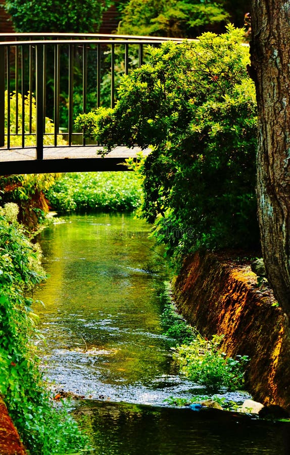 Gentle stream stock photo. Image of nature, water, bridge - 57893186