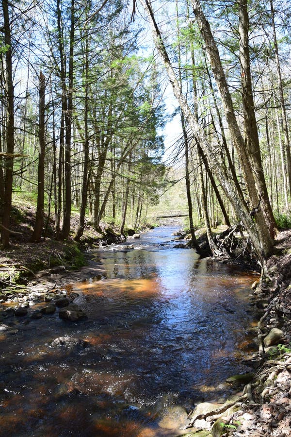 Gentilly River Regional Park in Quebec Stock Photo - Image of ...