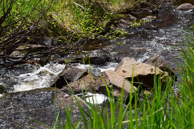 Gentilly River Regional Park in Quebec Stock Photo - Image of leaf ...