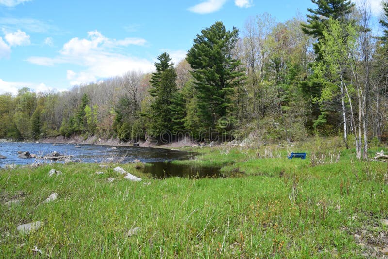 Gentilly River Regional Park in Quebec Stock Photo - Image of forest ...