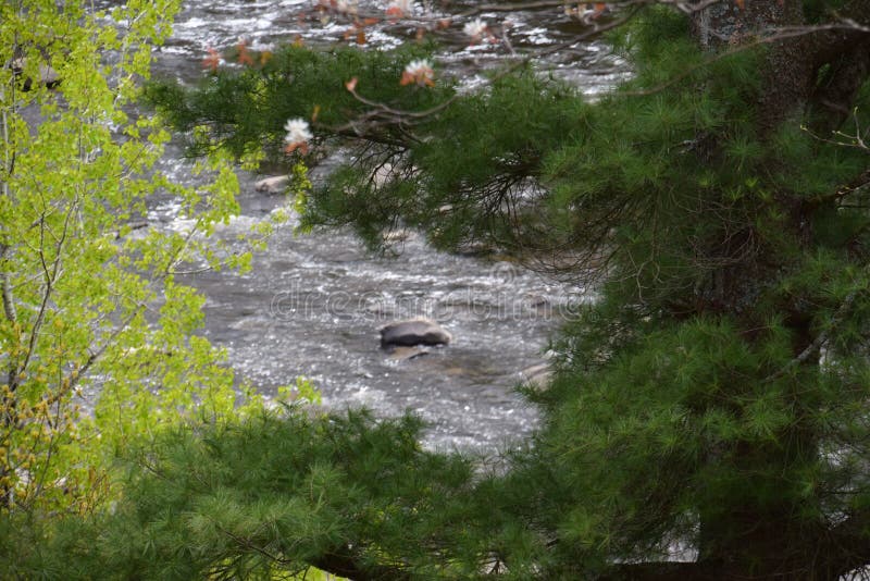 Gentilly River Regional Park in Quebec Stock Photo - Image of waterfall ...