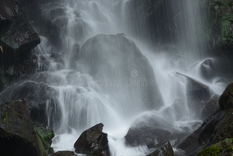 A Gentle Waterfall in the Middle of the Forest Stock Image - Image of ...