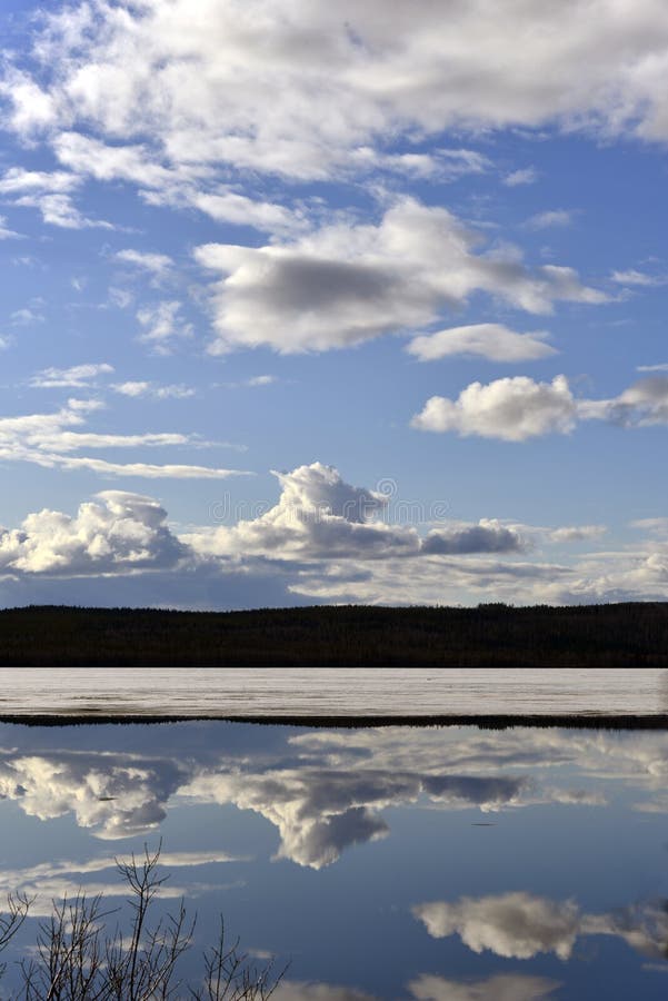 Gentle waters stock image. Image of forest, blank, spring - 31095249