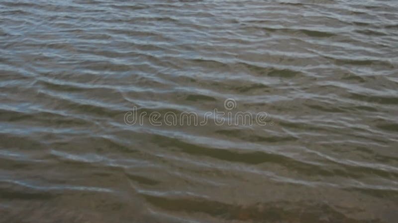 Gentle Waves Create Mesmerizing Patterns As they Roll Over Shoreline ...