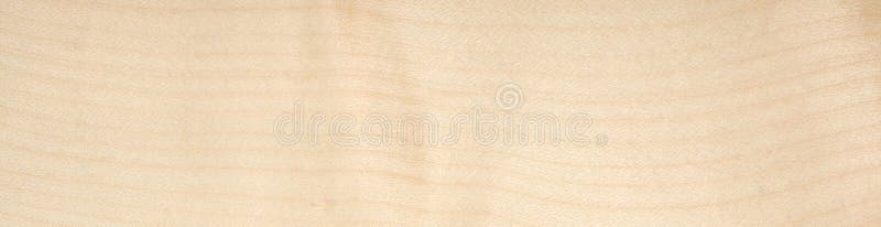 Gentle Waves of Grain on a Serene European Maple Veneer Stock Image ...
