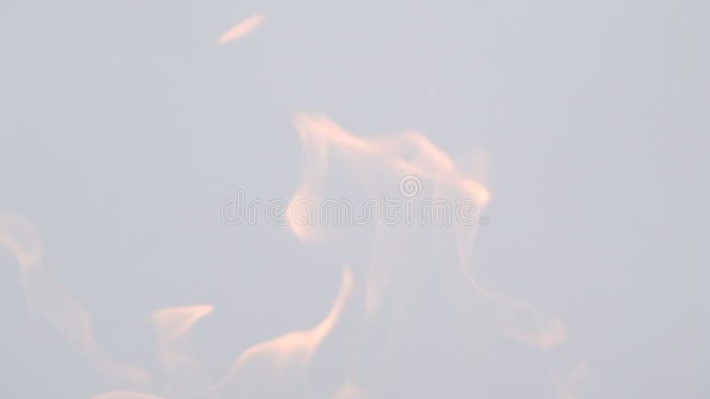 Gentle Yellow Flames on a Pink Background. Slow-motion Video of Fire ... Gentle Yellow Flames on a Pink Background. Slow-motion Video of Fire ...