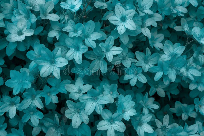 Gently Blue Flowers Background, Spring Turquoise Background, Beauty of ...
