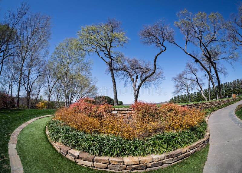 Two Paths Curve Invitingly through a Vibrant Spring Garden Under a ...