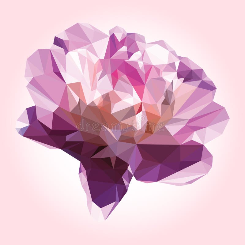 Vector Set of Low Poly Style Flowers Tulip. Polygon Flower Vector ...